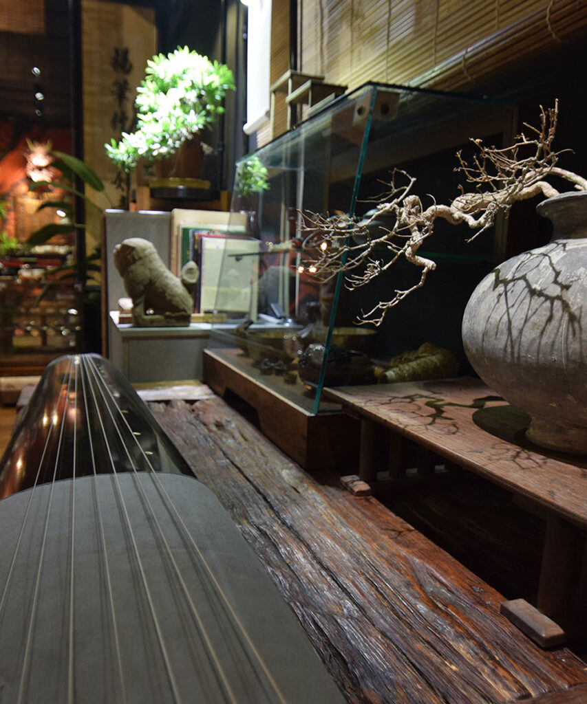 Bonsai Tree Malaysia | Chinese Tea Supplier - Bonsai & Tea